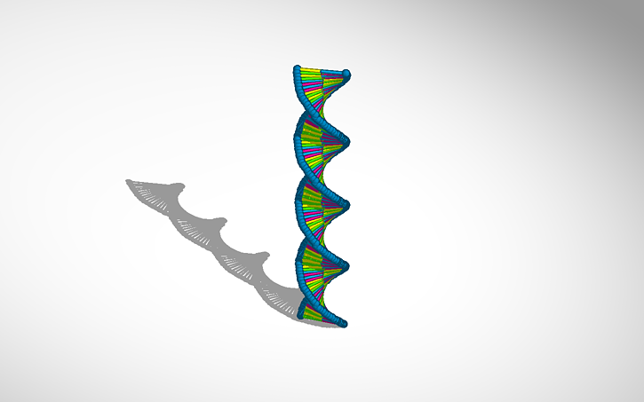 3D design DNA - Tinkercad