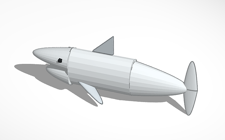 3D design SHARK - Tinkercad