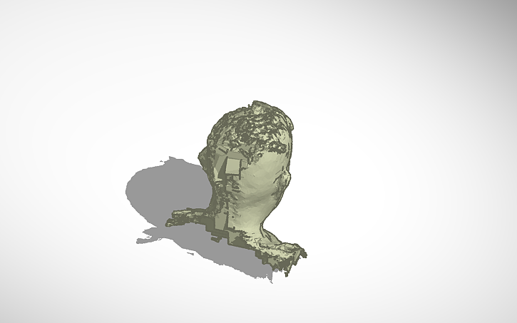 3D design Head | Tinkercad