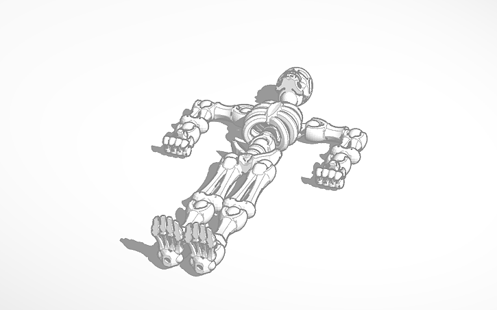 3D design Human Skeleton - Tinkercad