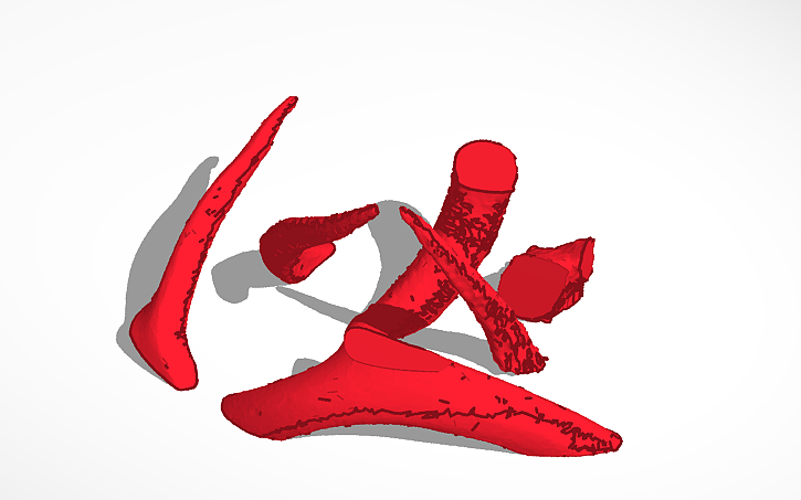 3D design deer antler R - Tinkercad