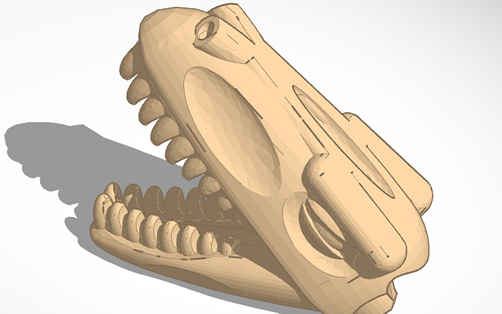 3D design t-rex | Tinkercad