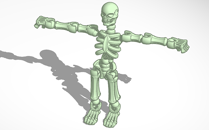3D design Human Body - Tinkercad