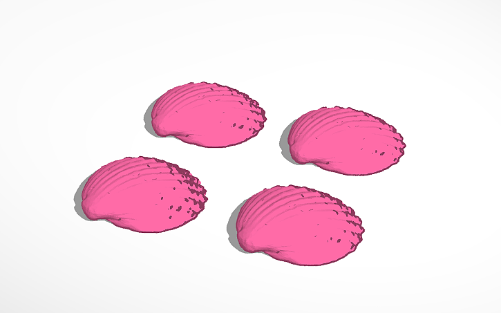 3D design Seashells - Tinkercad