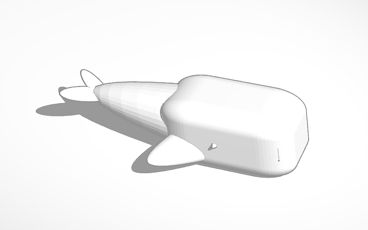 3D design Whale - Tinkercad