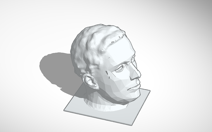 3D design bust of my head for art class | Tinkercad