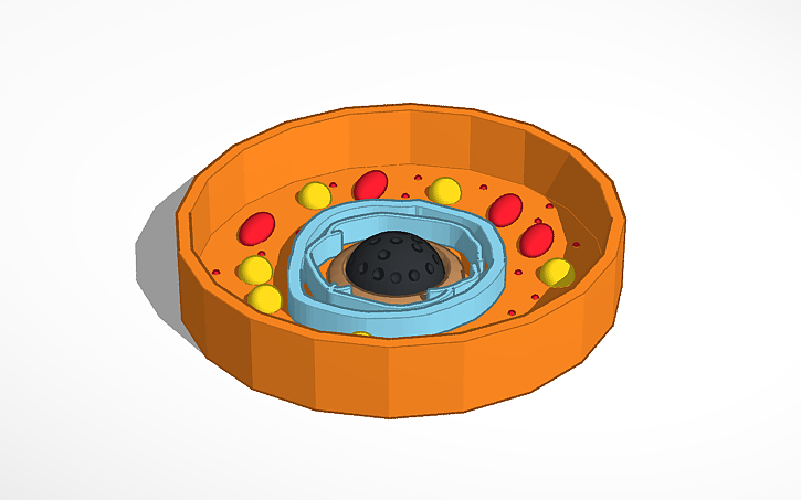 3D design in side an animal cell | Tinkercad