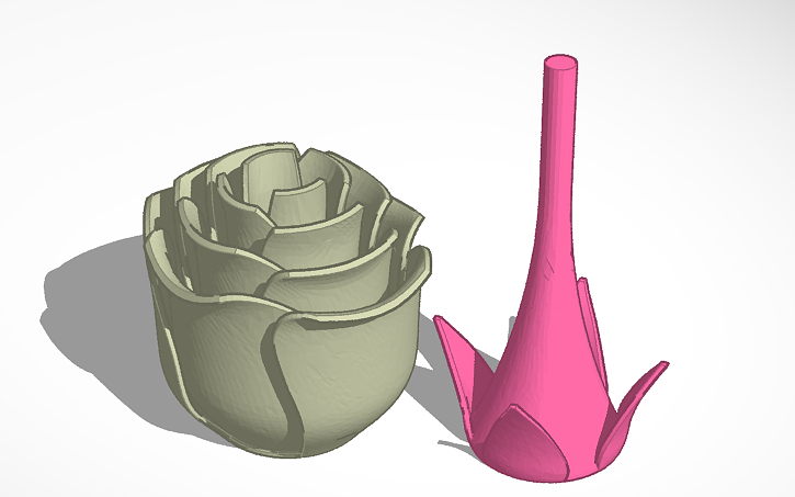 3D design ROSA - Tinkercad