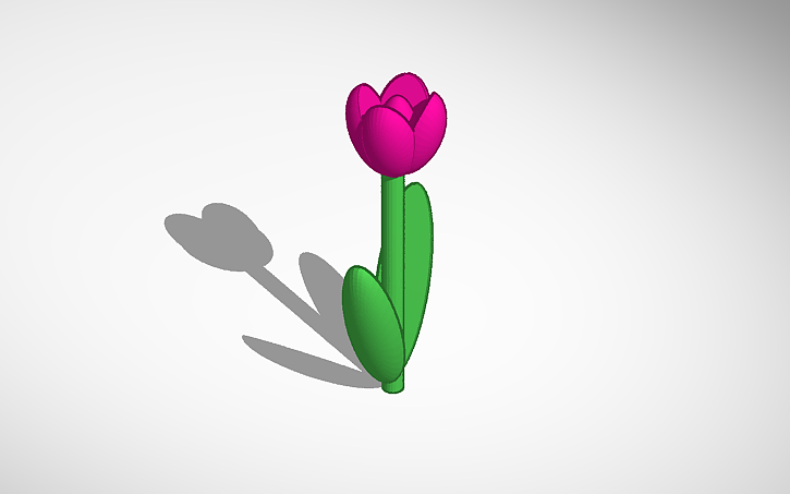 3D design Tulip - Tinkercad