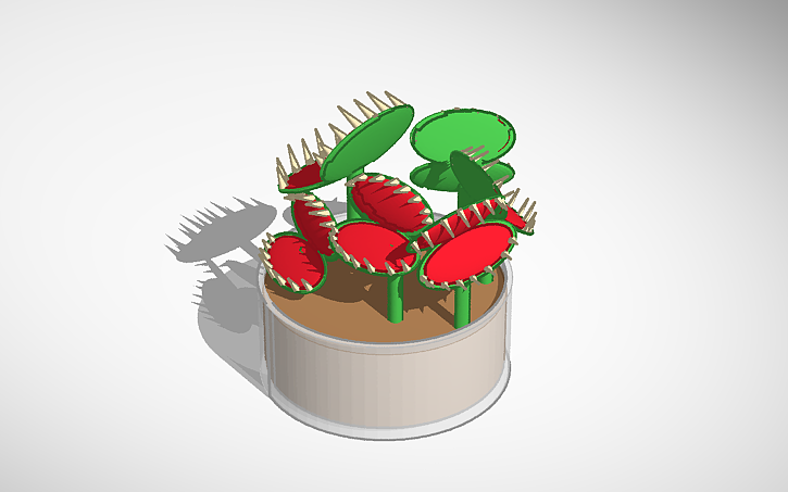 3D design Venus fly trap - Tinkercad