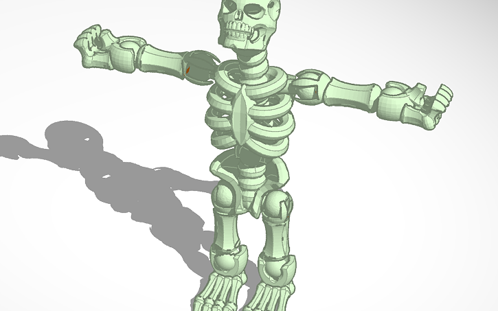 3D design skeleton_adam - Tinkercad