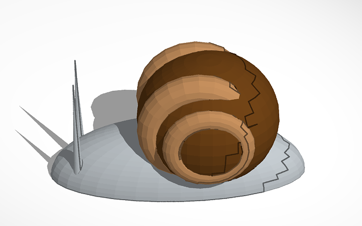 3D design snail - Tinkercad