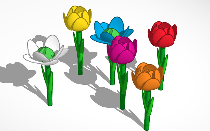 3D design flowers - Tinkercad