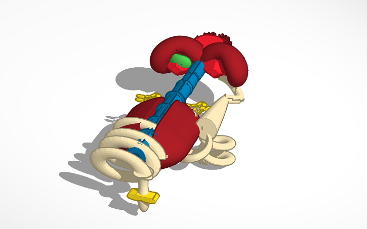 3D design Frog Anatomy | Tinkercad