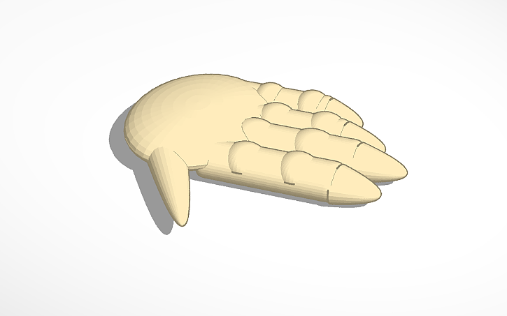3D design hand - Tinkercad