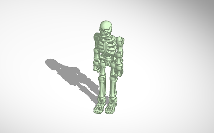 3D design skeleton - Tinkercad