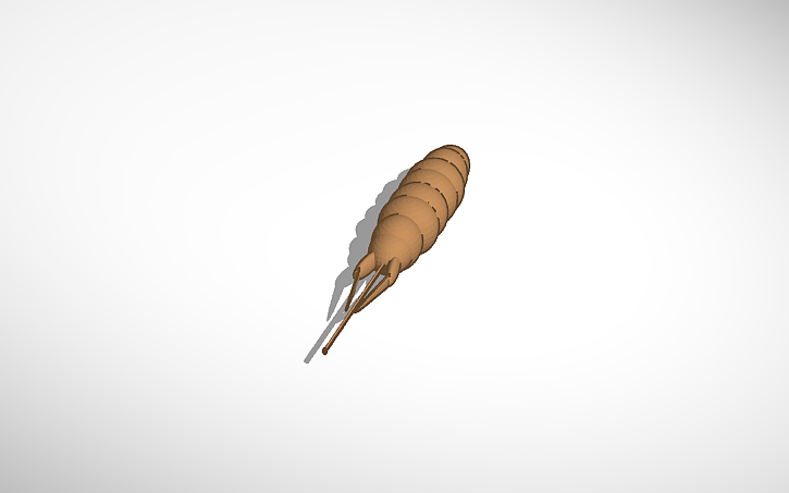 3D design scp-2421 - Tinkercad