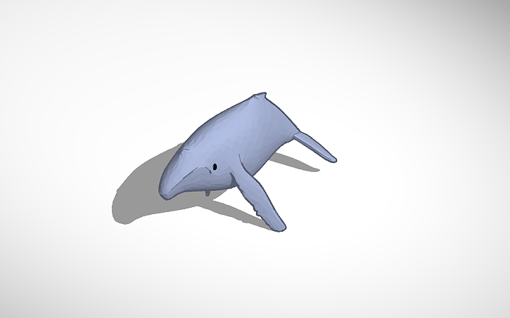 3D design whale - Tinkercad