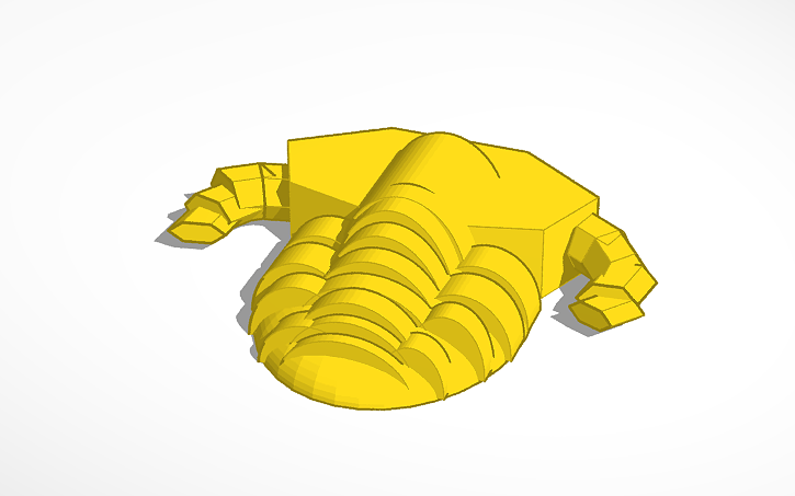 3D design fossil 1 | Tinkercad