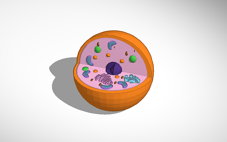 3D design Cell Thingy - Tinkercad
