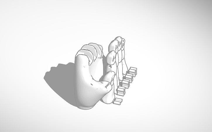 3D design prosthetic hand modified - Tinkercad