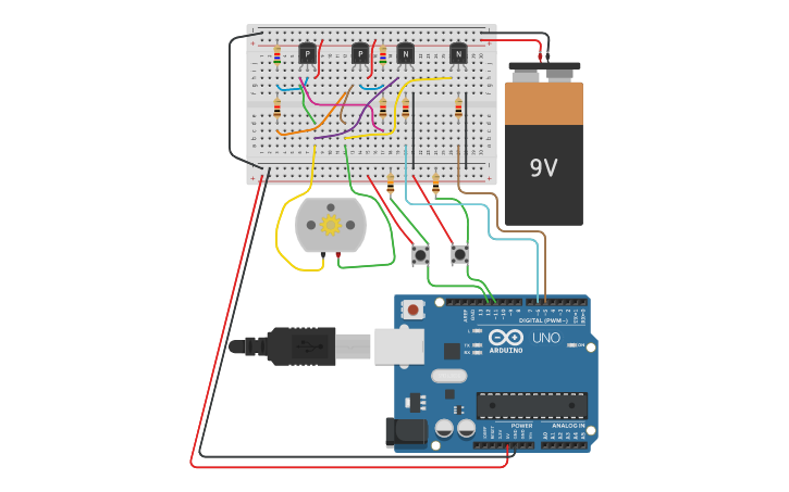 Circuit design Murf's H-bridge motor control with transistors with fwd/rev buttons - Tinkercad