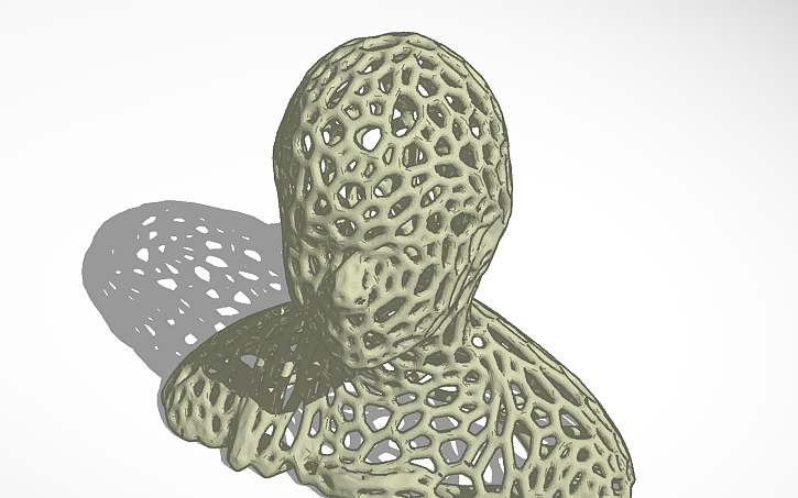 3D design Self-Portrait Voronoi Pattern through Meshmixer - Tinkercad
