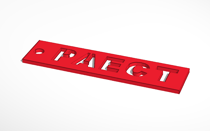3D design PAECT keychain - Tinkercad