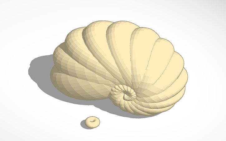3D design torus snail - Tinkercad