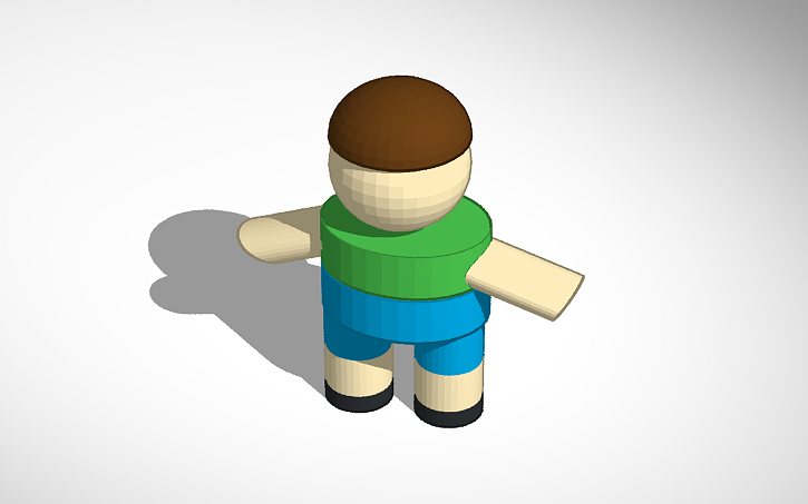3D design Copy of Human - Tinkercad