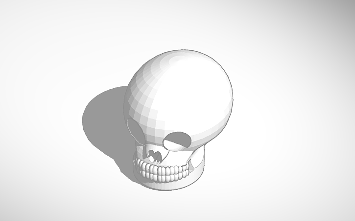 3D design skull | Tinkercad