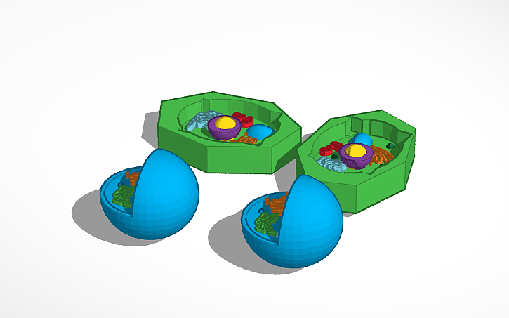 3D design Angel Daniel Moreno Canche 2E | Tinkercad