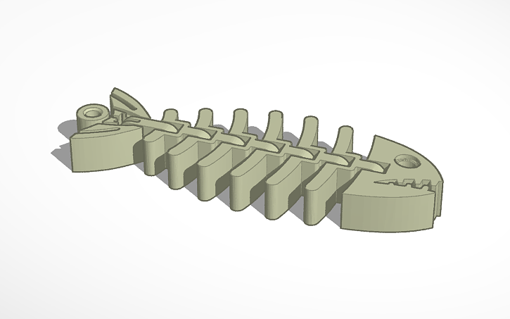 3D design ma528 fish - Tinkercad