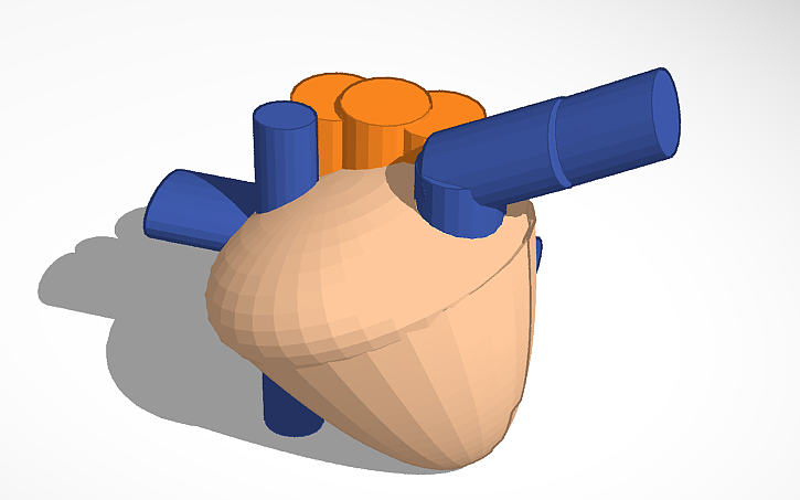 3D design heart - Tinkercad
