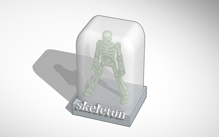 3D design skeleton in the Glass box | Tinkercad