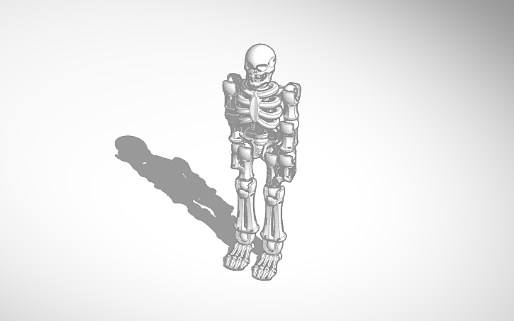 3D design het skelet | Tinkercad