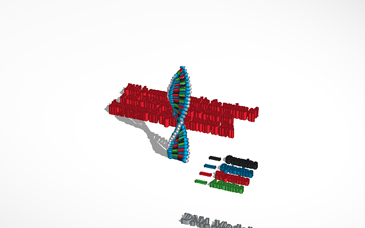 3D design DNA Model - Tinkercad