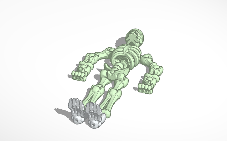 3D design Human Skeleton - Tinkercad