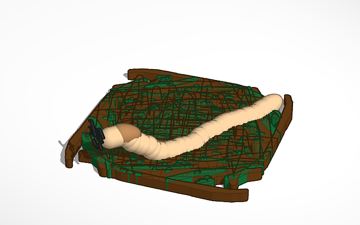 3D design wormy worm - Tinkercad