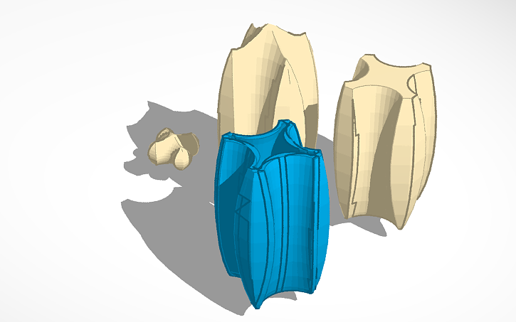 3D design Intersection Vase #torusquest | Tinkercad