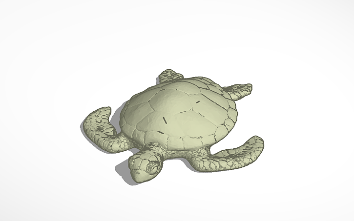 3D design Sea Turtle Keychain - Tinkercad