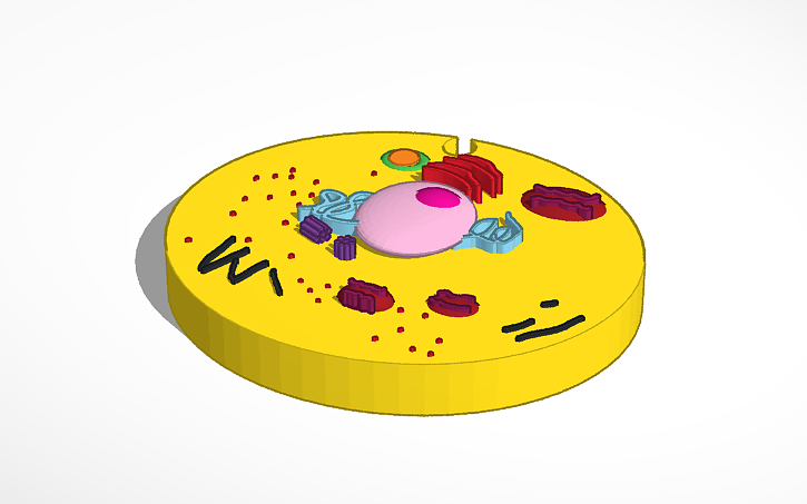 3D design Animal Cell - Tinkercad