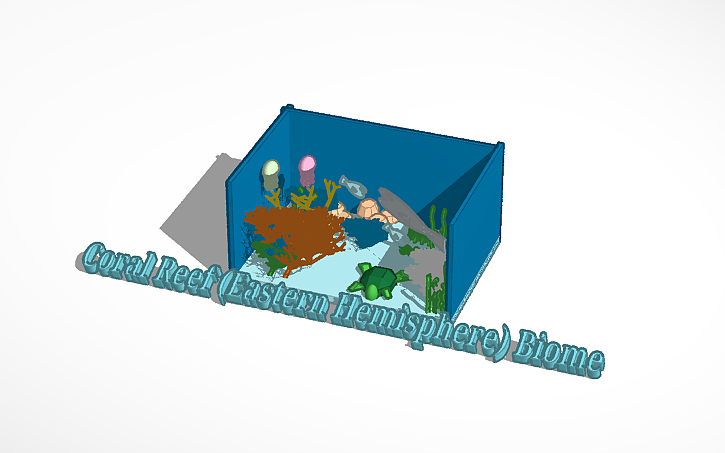 3D design Coral Reef Biome - Tinkercad