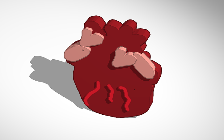 3D design Human Heart | Tinkercad