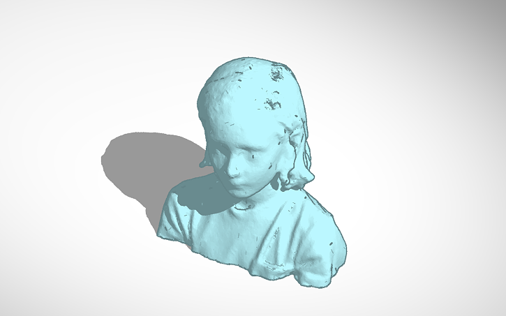 3D design my head | Tinkercad