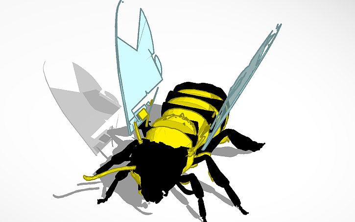 3D design bee - Tinkercad