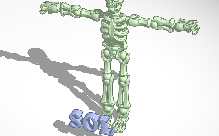 3D design Esqueleto - Tinkercad