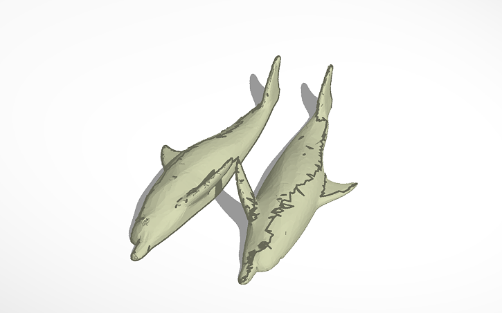 3D design Split Dolphin - Tinkercad