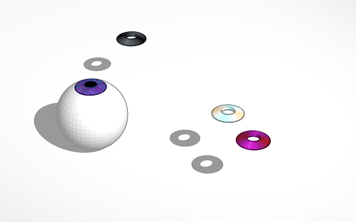 3D design Charlotte Willow - Eye Colour Prototype | Tinkercad
