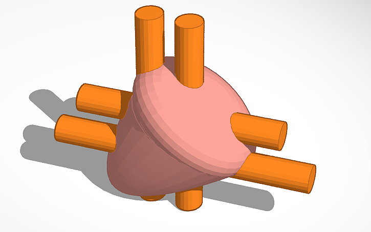 3D design Human heart - Tinkercad